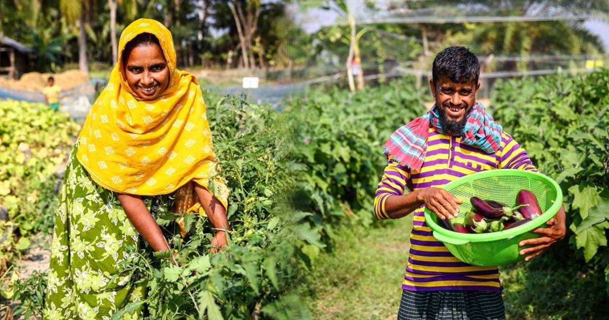 Bangladesh among top ten producers of 22 agri products: FAO report ...