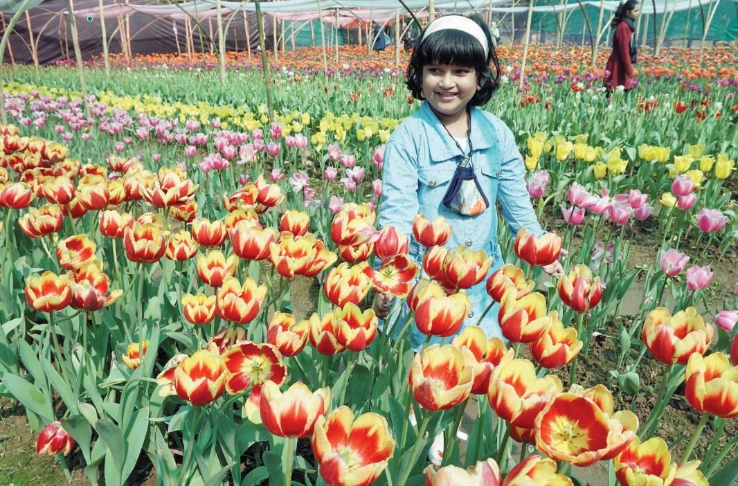 Exploring $500 million market potential of Bangladesh's Flower Industry ...