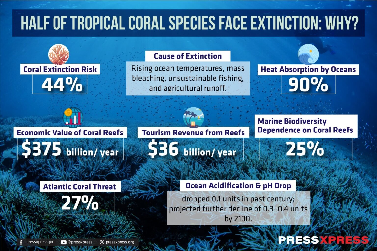 Half of Tropical Coral Species Face Extinction: Why? - Press Xpress