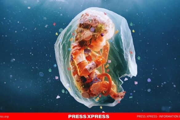 Stray Kids’ Felix Injured in Car Crash, Forced to Take a Break - Press ...